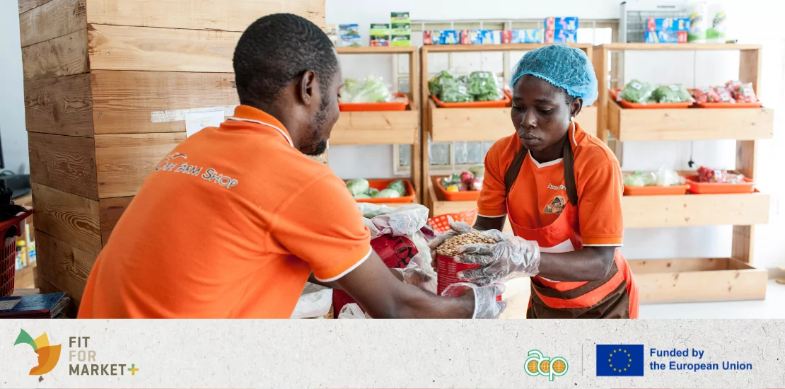 The key contribution of MSMEs to sustainable food systems | Agrinnovators