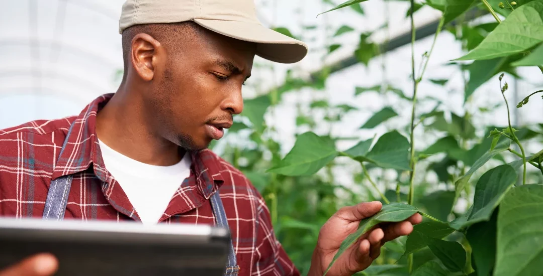 Home - Agrinnovators